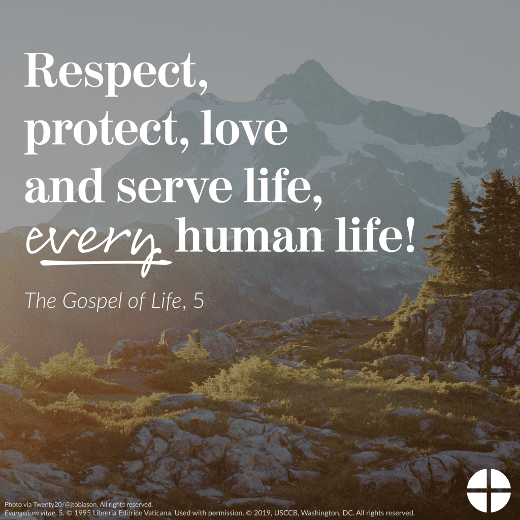 40 Days/Respect Life – Christ the King